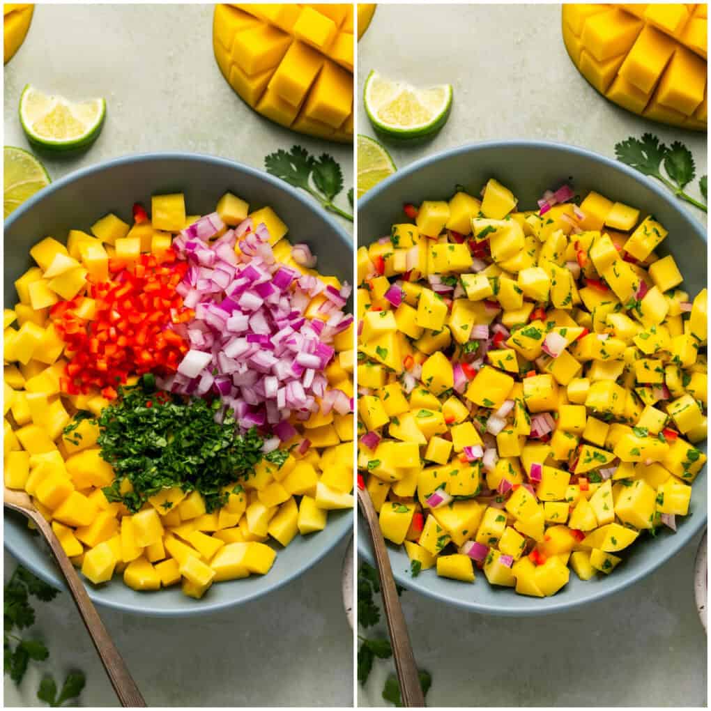 Mango Salsa - Creme De La Crumb